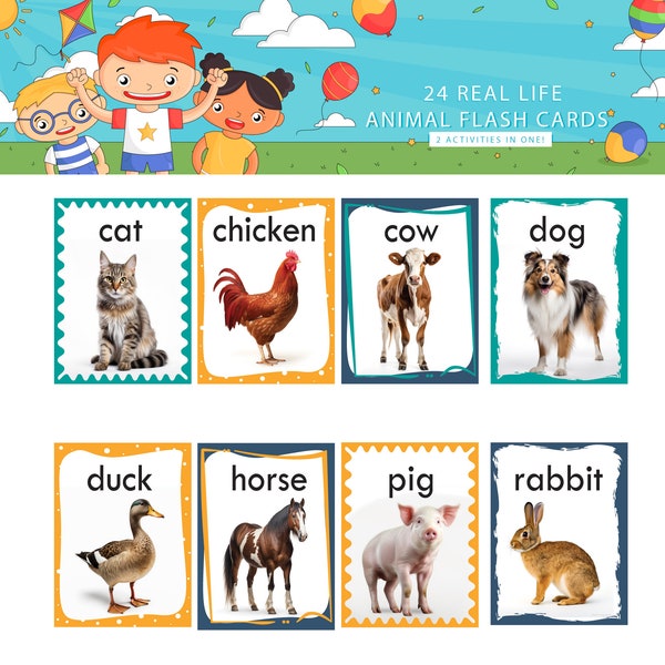 Animal Flash Cards - Etsy