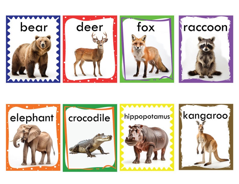 24 Real Life Animal Flash Cards Printable Flashcards Preschool ...