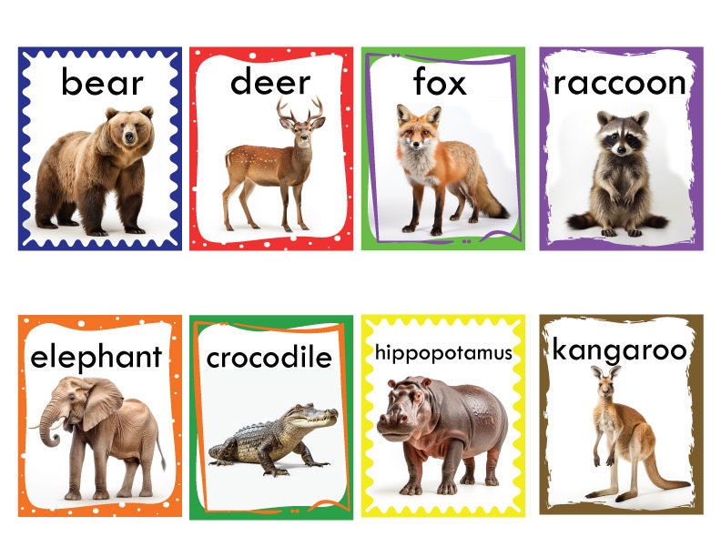 24 Real Life Animal Flash Cards Printable Flashcards Preschool ...