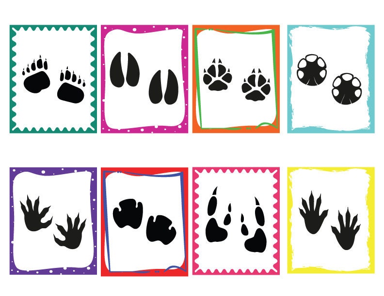 24 Real Life Animal Flash Cards Printable Flashcards Preschool ...