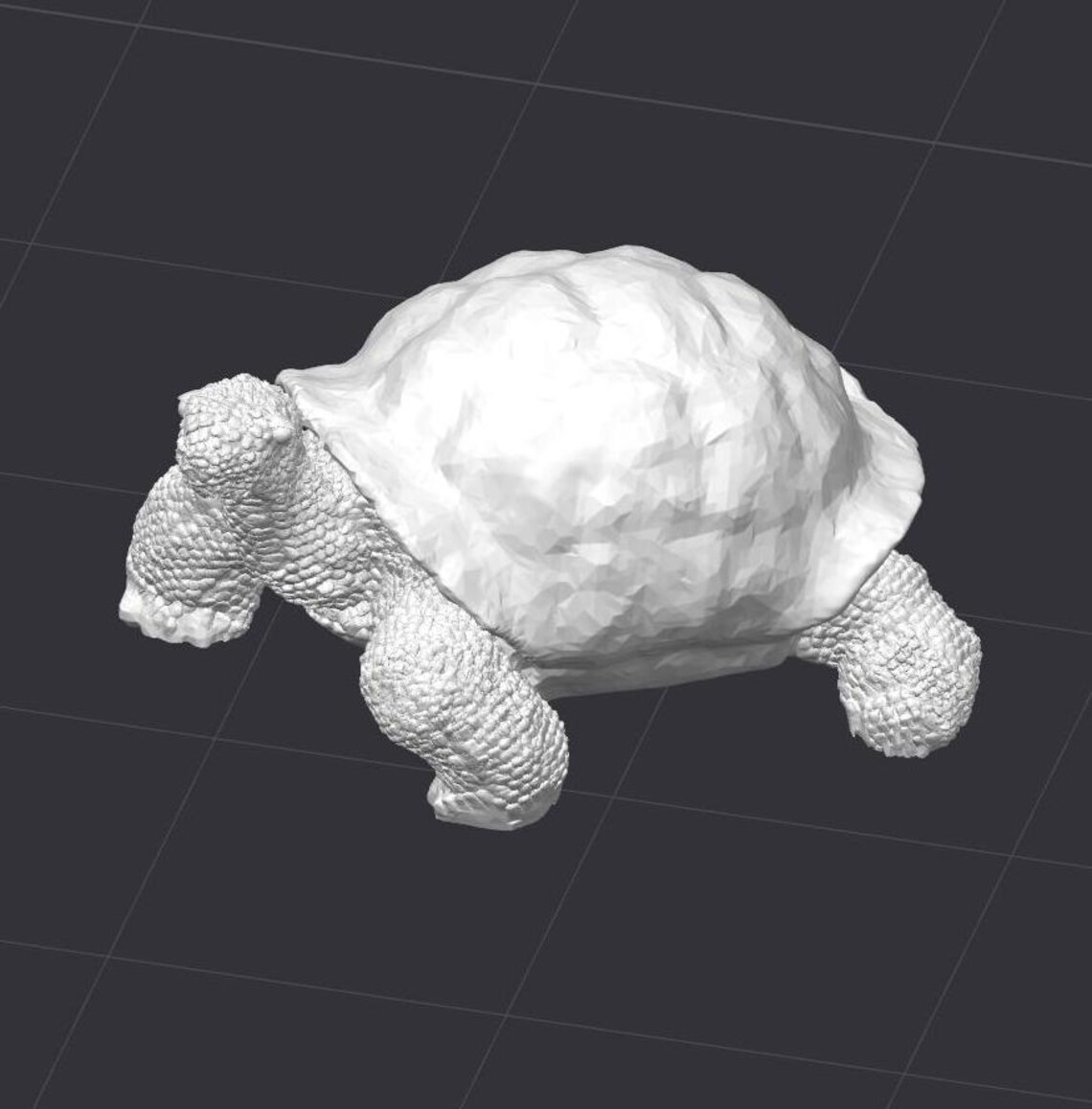 Galapagos Tortoise STL 3D Printer File - Etsy