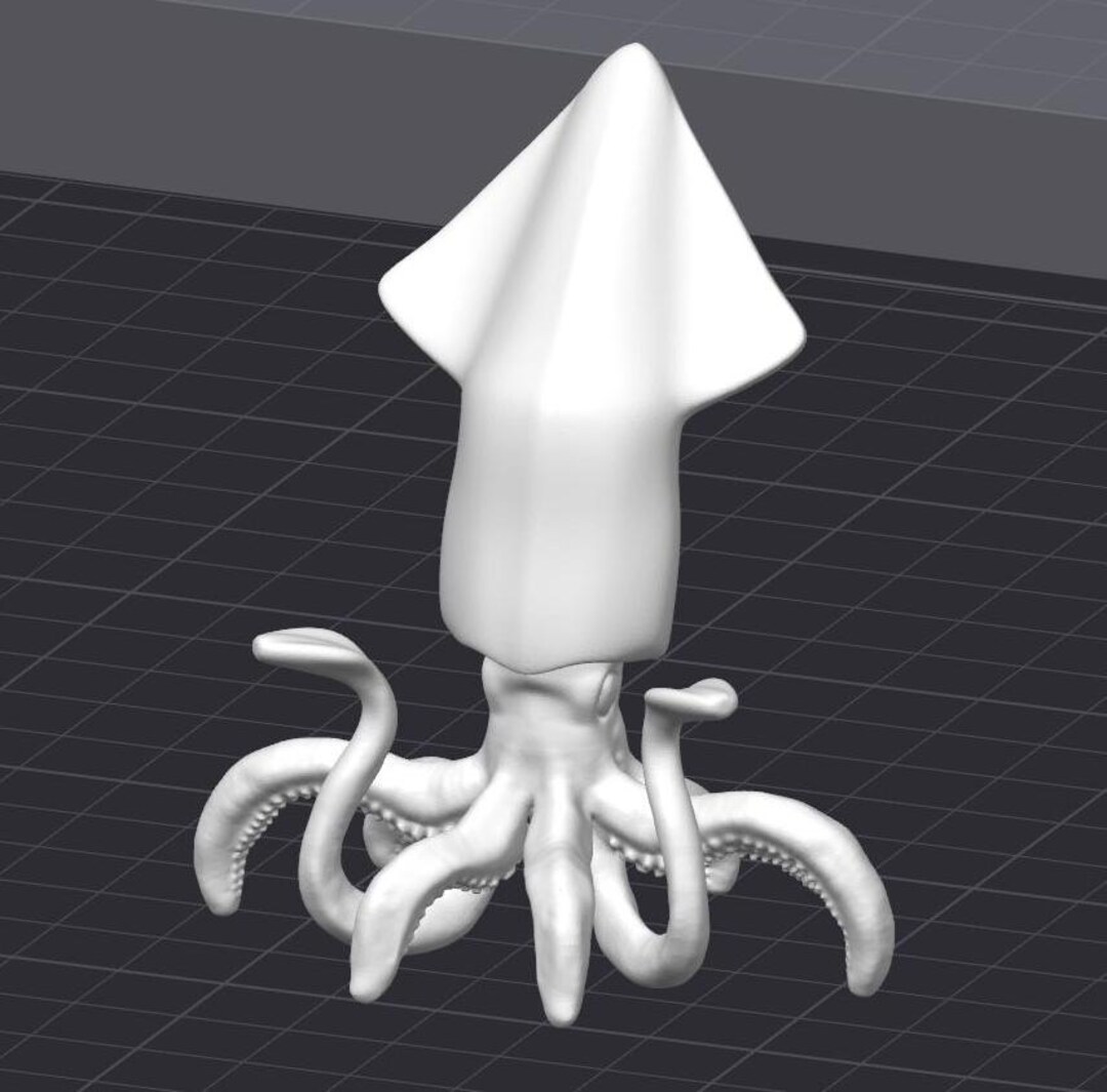 Cuttlefish STL 3D Printer File Cuttle Fish Squid - Etsy