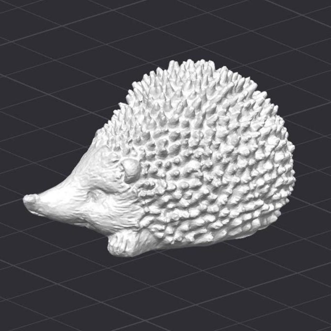 Hedgehog Hedge Hog STL 3D Printer File - Etsy