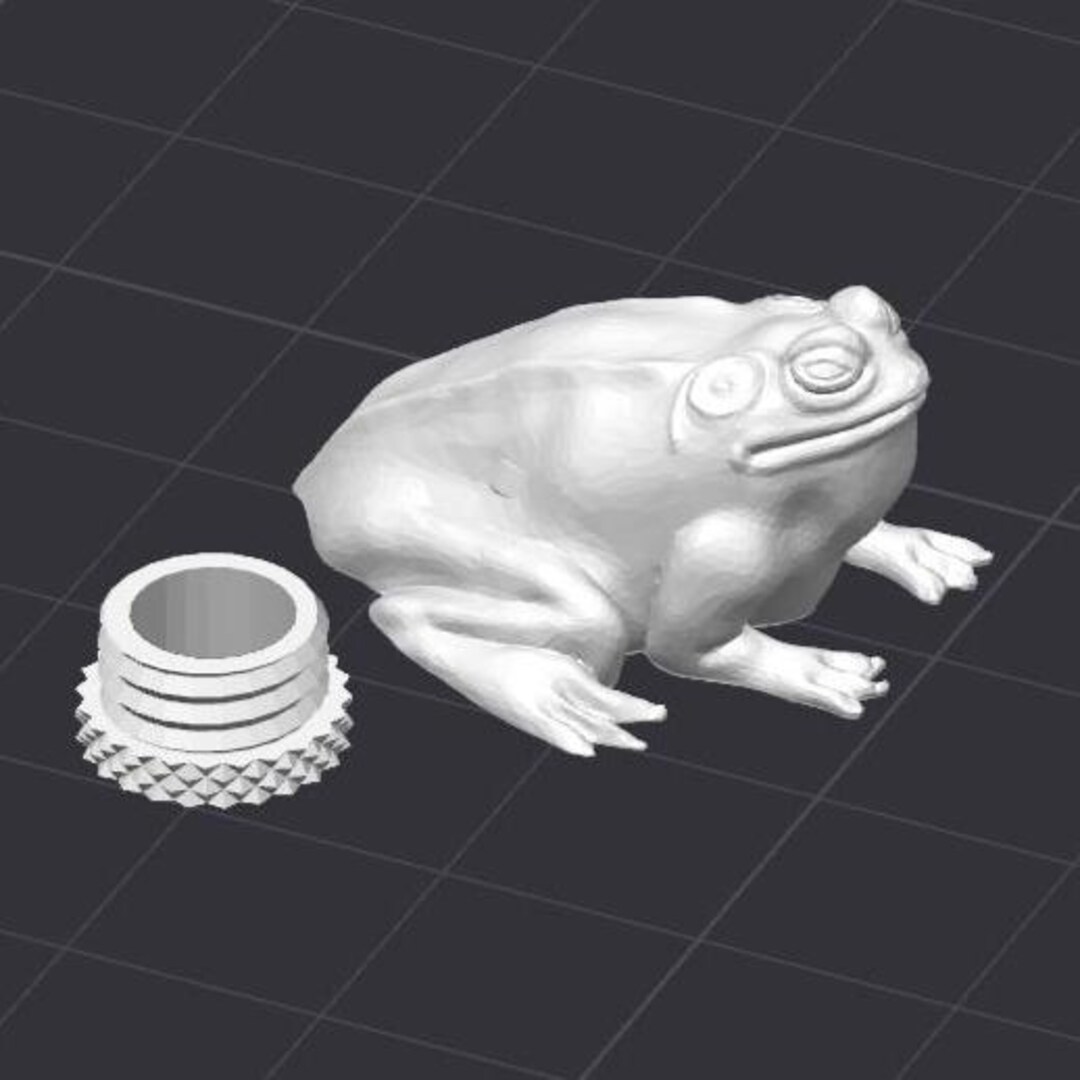 Bullfrog Frog Geocache Stash Container Cache STL 3D Printer File - Etsy