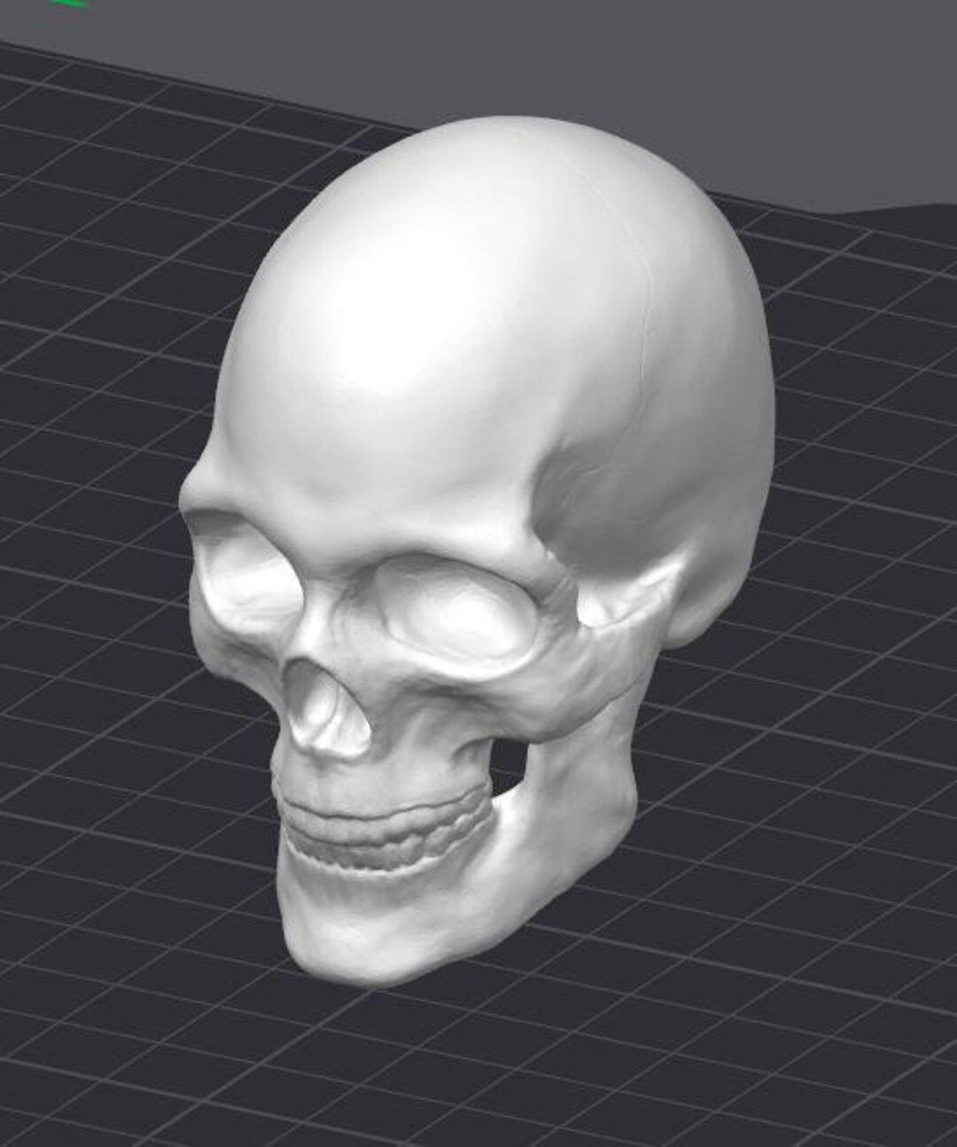 Skull Bone STL 3D Printer File Human Bones Head - Etsy