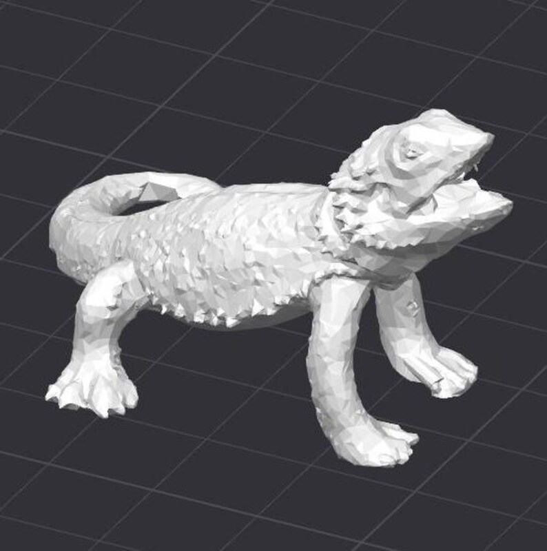 Bearded Drago STL 3D Printer File - Etsy