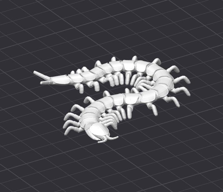 Centipede Insect STL 3D Printer File - Etsy
