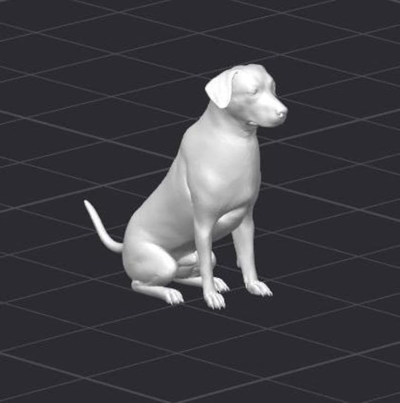 Labrador Dog STL 3D Printer File - Etsy
