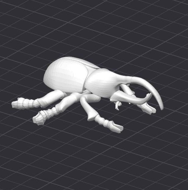 Hercules Beetle STL 3D Printer File Insect Bug Dynastes - Etsy