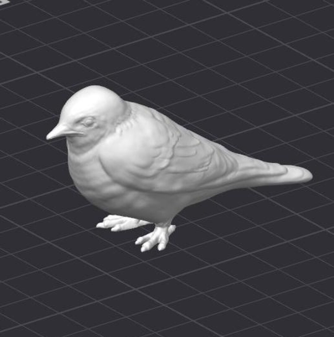 Swallow Bird STL 3D Printer File Animal - Etsy
