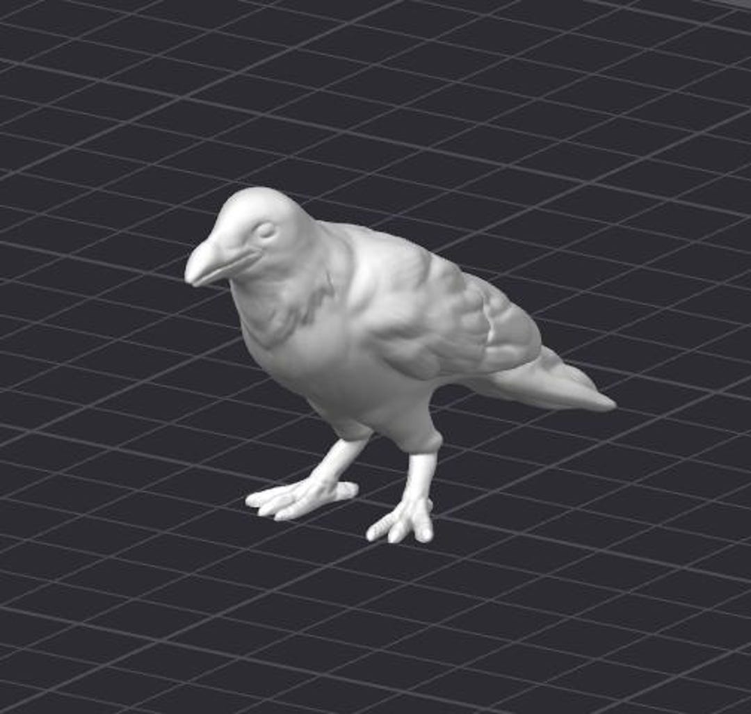 Crow Corvid STL 3D Printer File Black Bird - Etsy