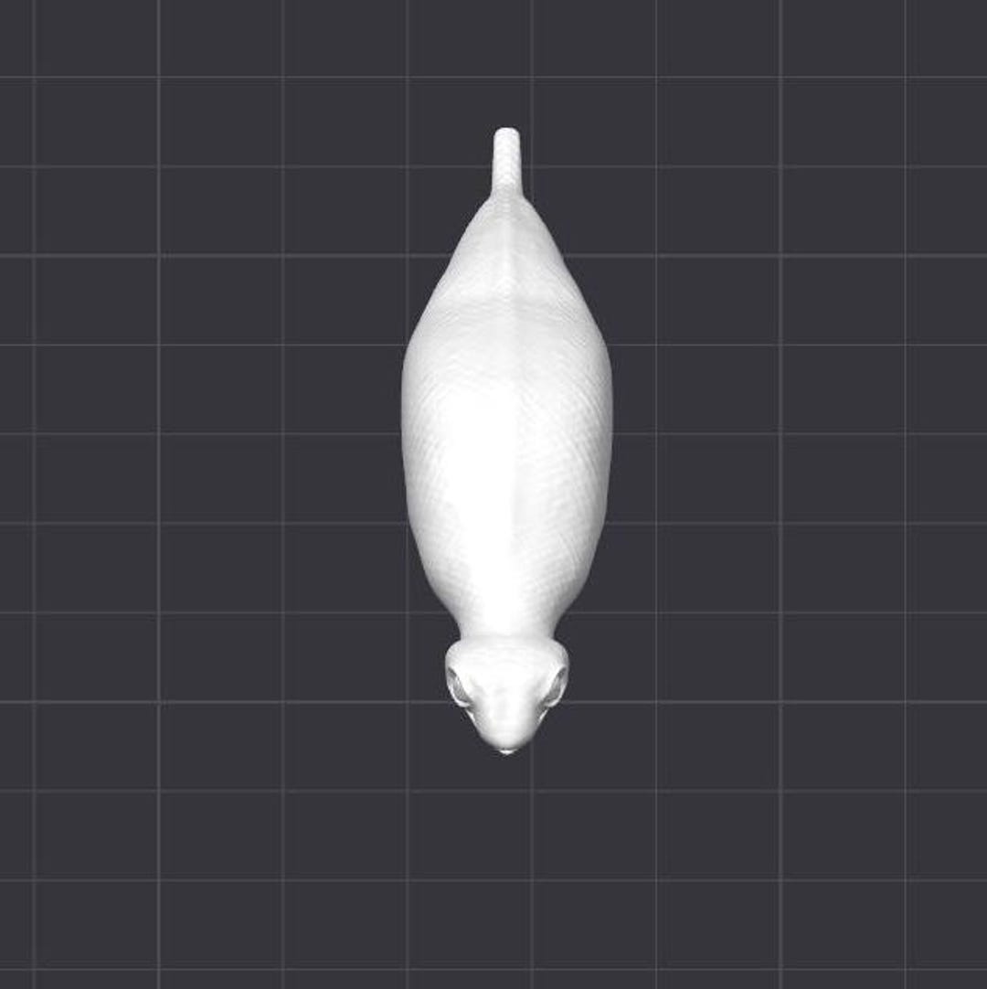 Tsuchinoko STL 3D Printer File Cryptid Snake Japan - Etsy