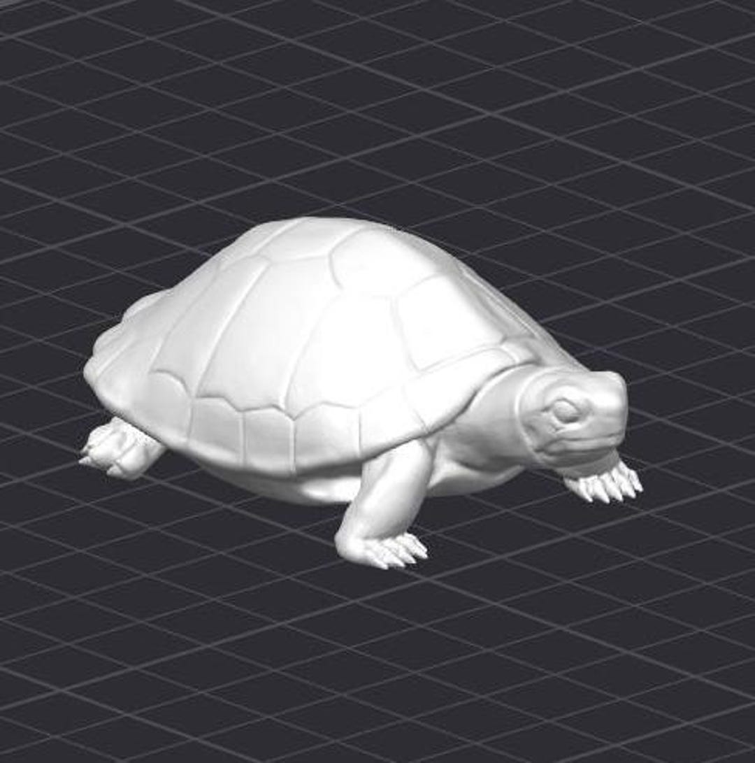 Turtle STL 3D Printer File Reptile Tortoise - Etsy