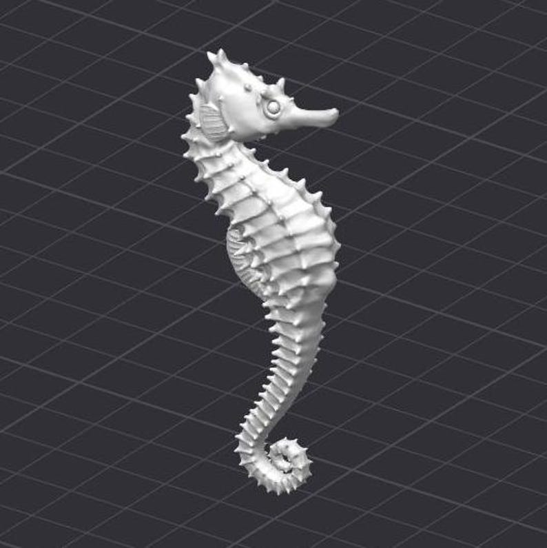 Seahorse STL 3D Printer File Sea Horse Ocean Reef Animal Fish - Etsy