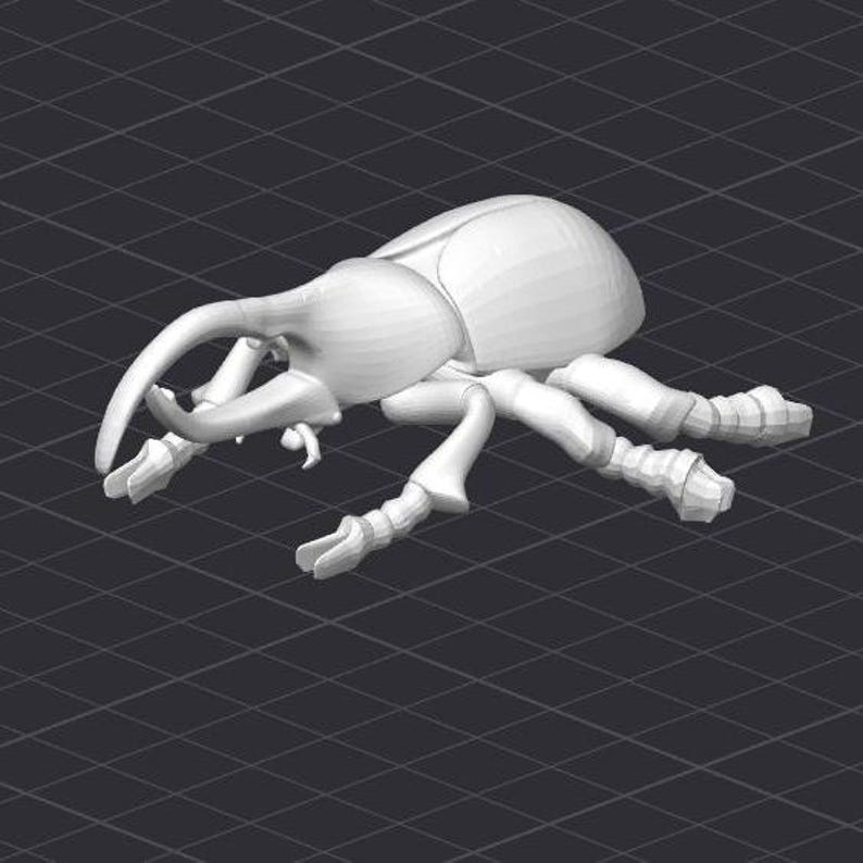 Hercules Beetle STL 3D Printer File Insect Bug Dynastes - Etsy