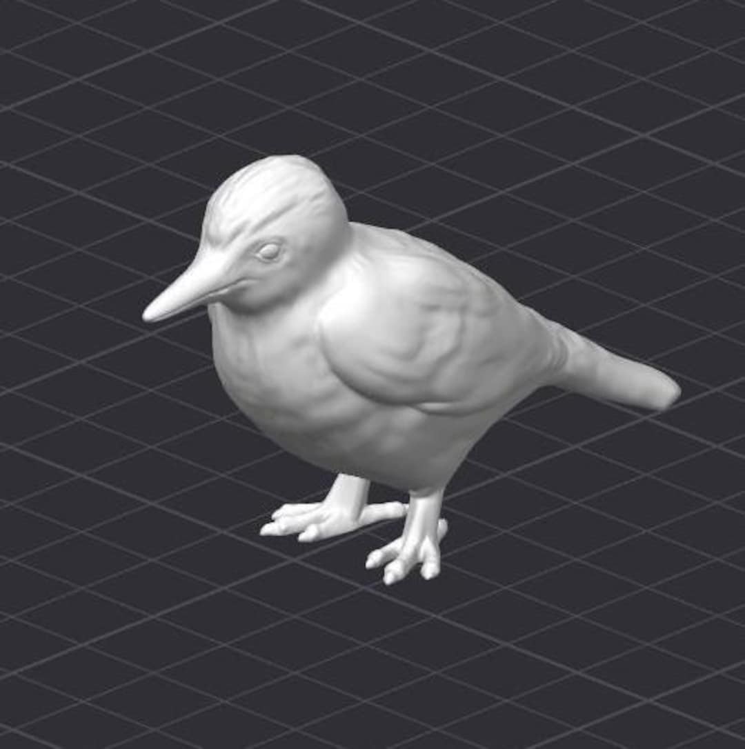 Woodpecker Bird STL 3D Printer File Wood Pecker Piciformes Animal - Etsy