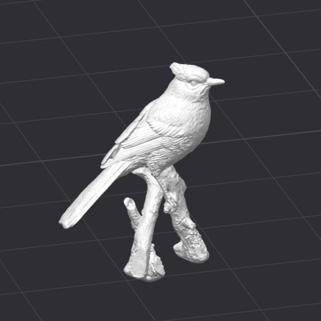 Blue Jay Bird STL 3D Printer File - Etsy