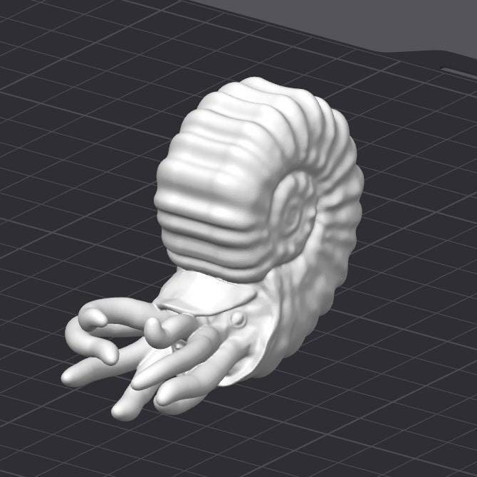 Ammonite Shell Fossil STL 3D Printer File - Etsy