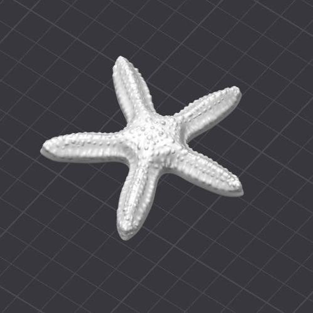 Starfish STL 3D Printer File Ocean Animal Star Fish - Etsy