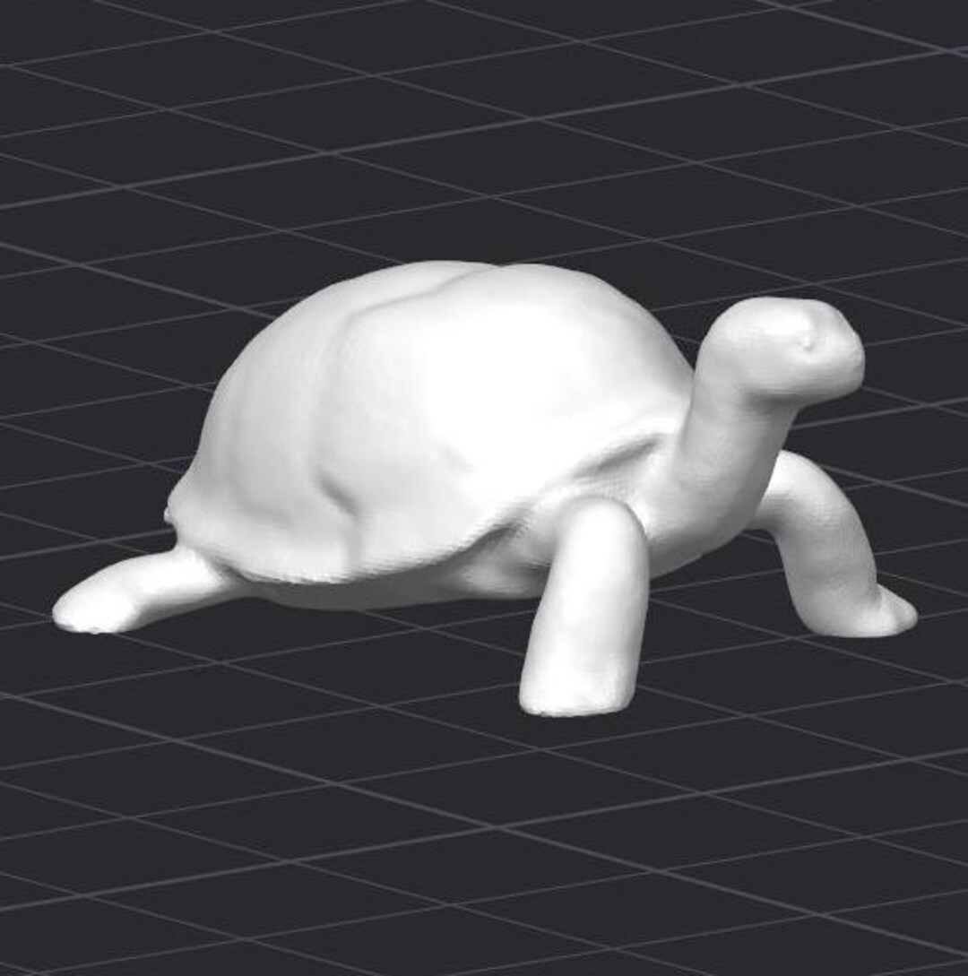 Turtle Tortoise STL 3D Printer File - Etsy