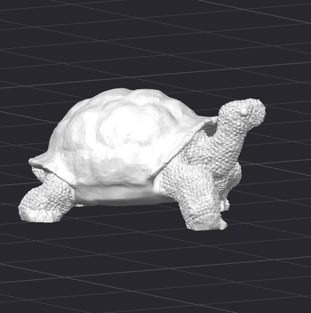 Galapagos Tortoise STL 3D Printer File - Etsy