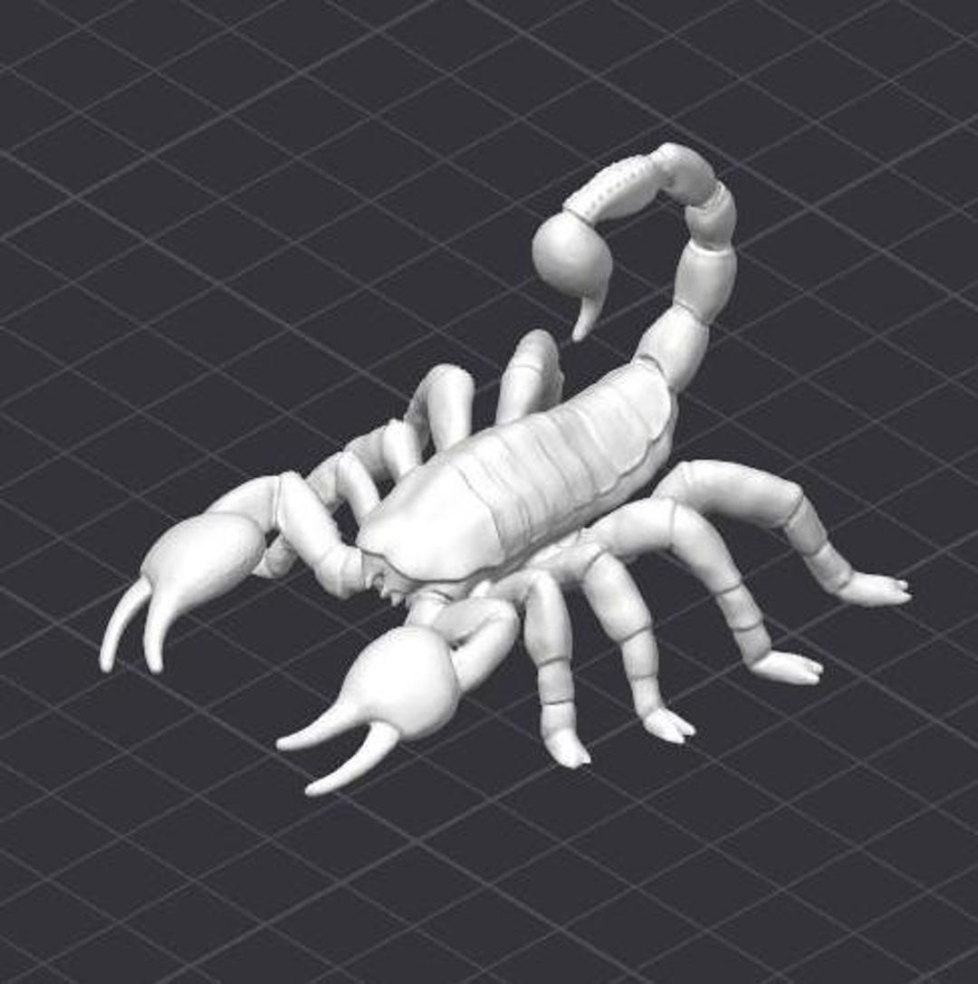 Scorpion STL 3D Printer File Insect Arachnid - Etsy