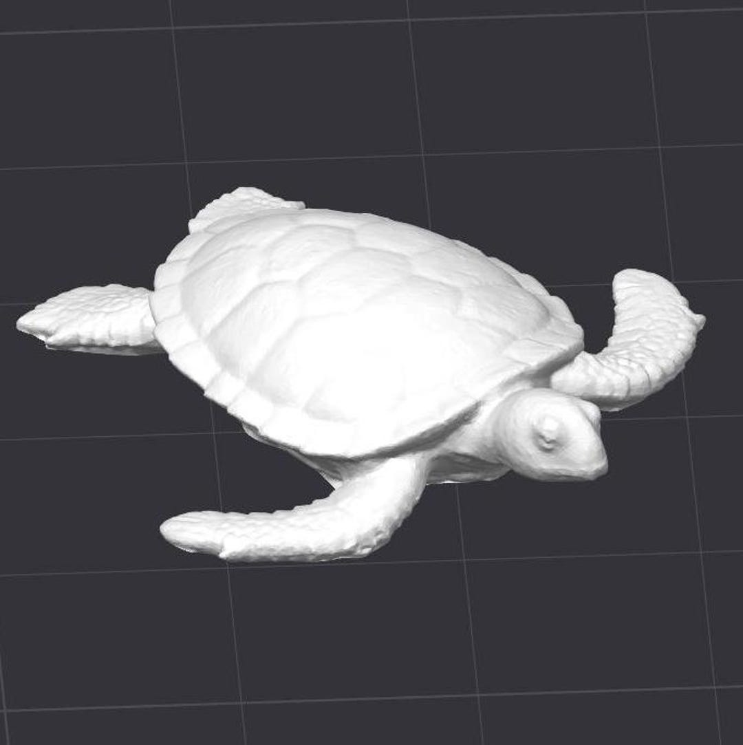 Sea Turtle STL 3D Printer File - Etsy