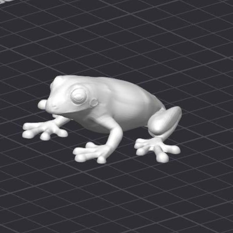 Tree Frog - Etsy