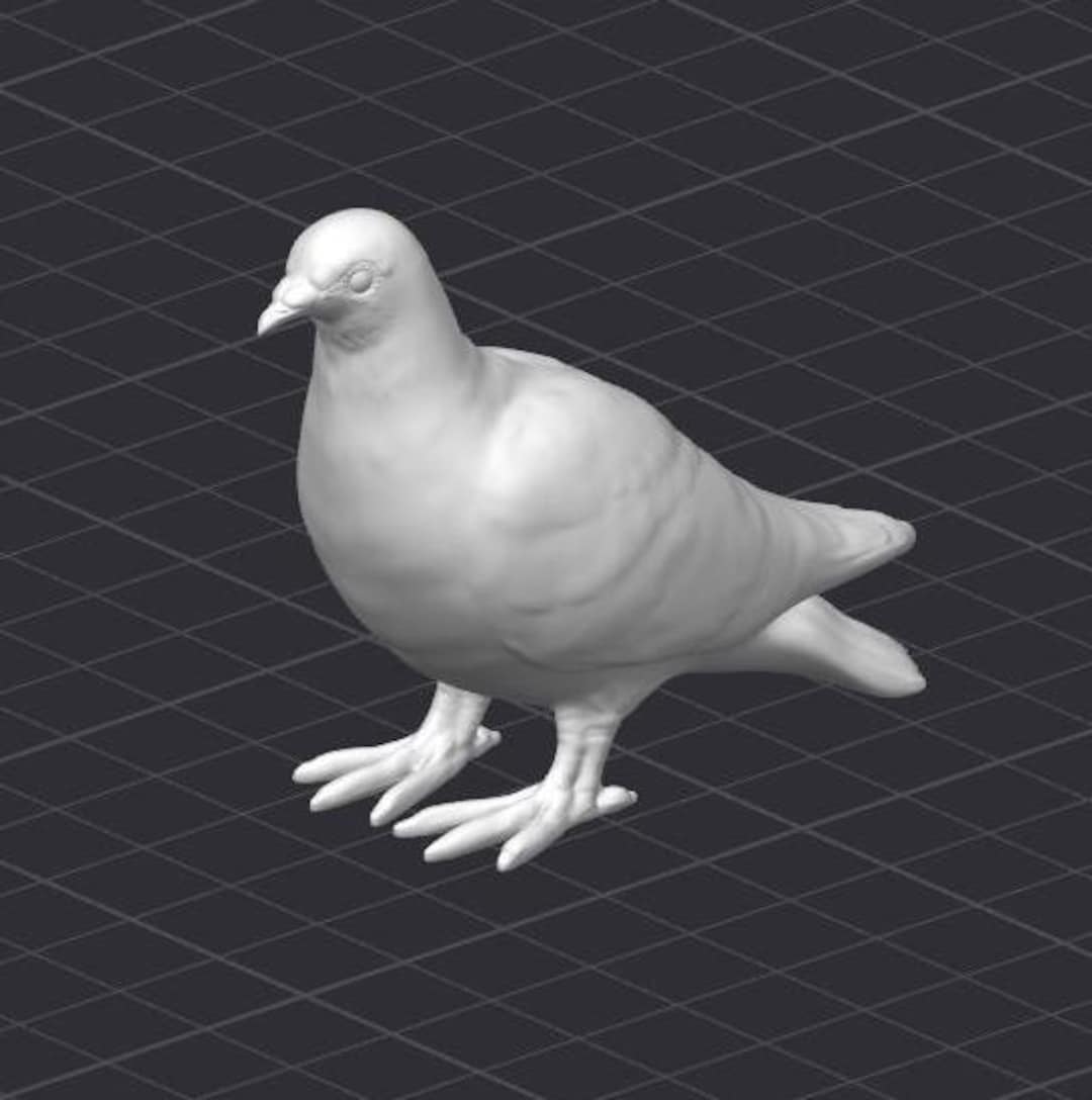 Dove STL 3D Printer File Bird Pigeon - Etsy