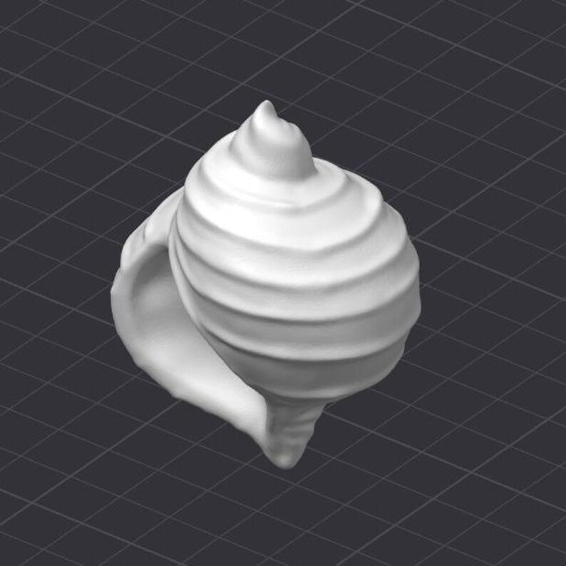 Spiral Shell STL 3D Printer File - Etsy Australia