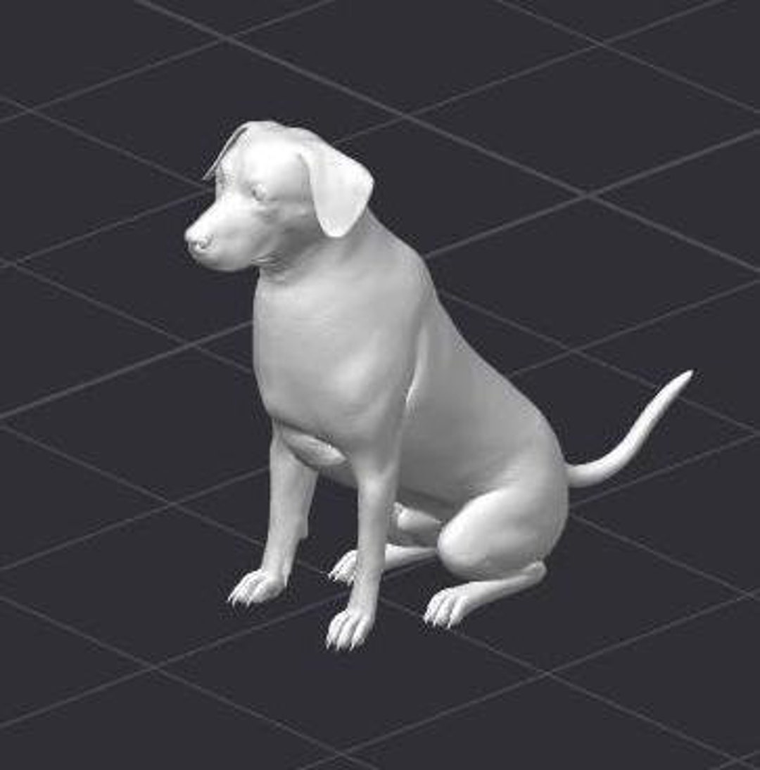 Labrador Dog STL 3D Printer File - Etsy