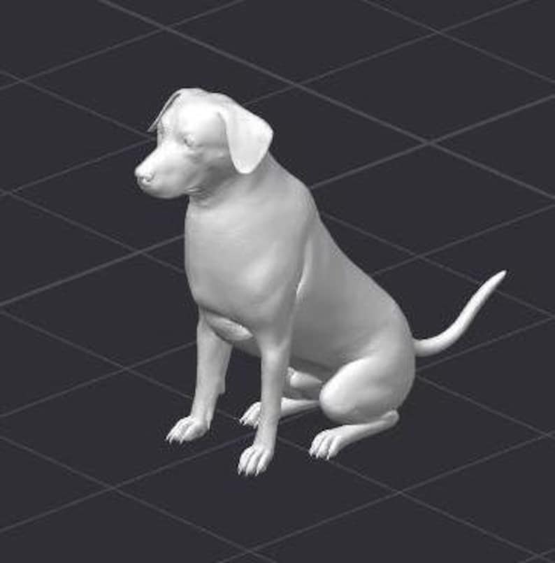 Labrador Dog STL 3D Printer File - Etsy