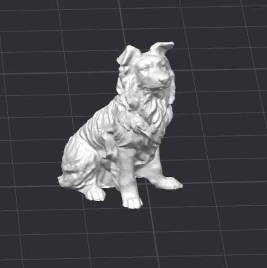 Border Collie Dog STL 3D Printer File Animal Pet - Etsy