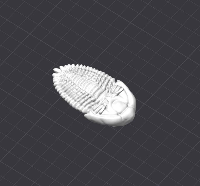 Trilobite Ancient Fossil STL 3D Printer File - Etsy