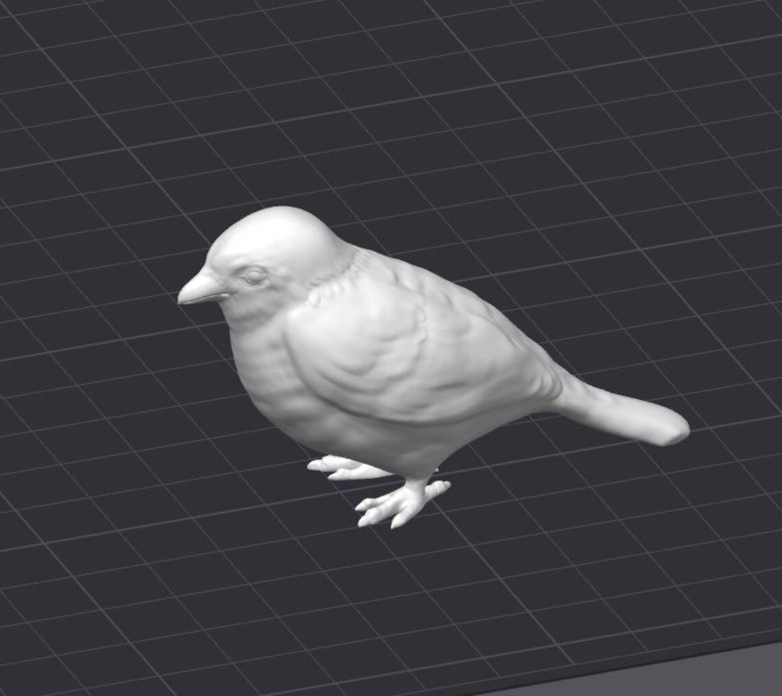 Sparrow Bird STL 3D Printer File - Etsy