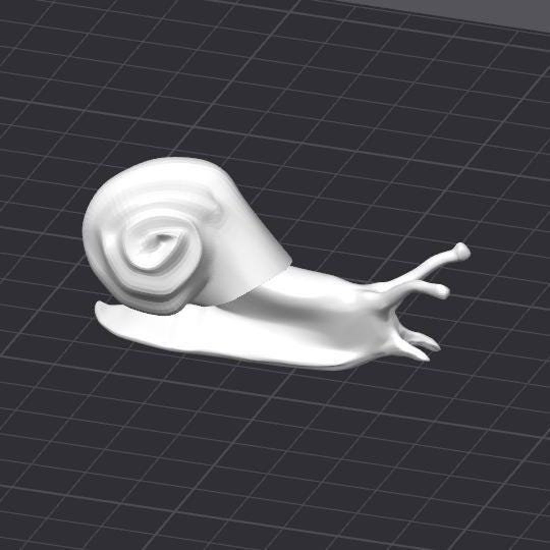 Snail STL 3D Printer File Gastropod Shell Slug - Etsy