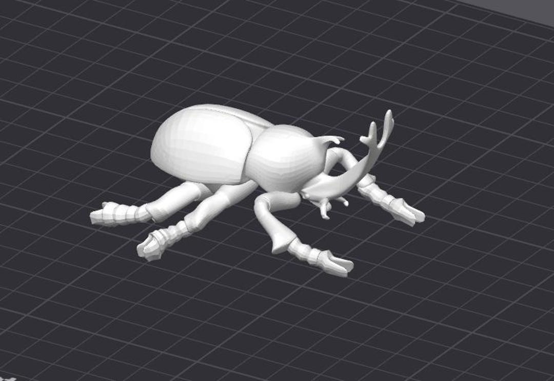 Beetle Bug Insect Rhinoceros STL 3D Printer File - Etsy