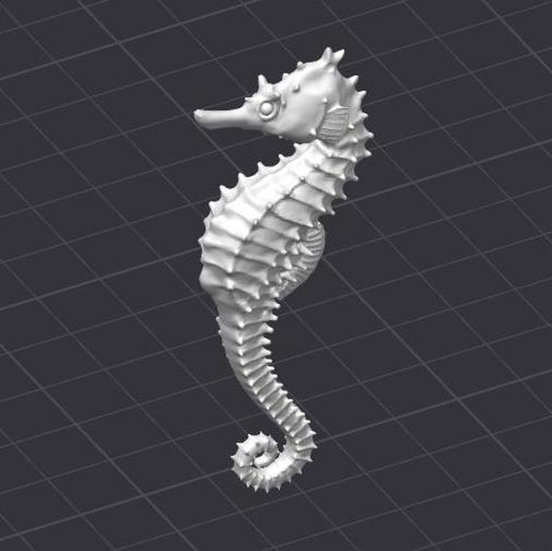 Seahorse STL 3D Printer File Sea Horse Ocean Reef Animal Fish - Etsy