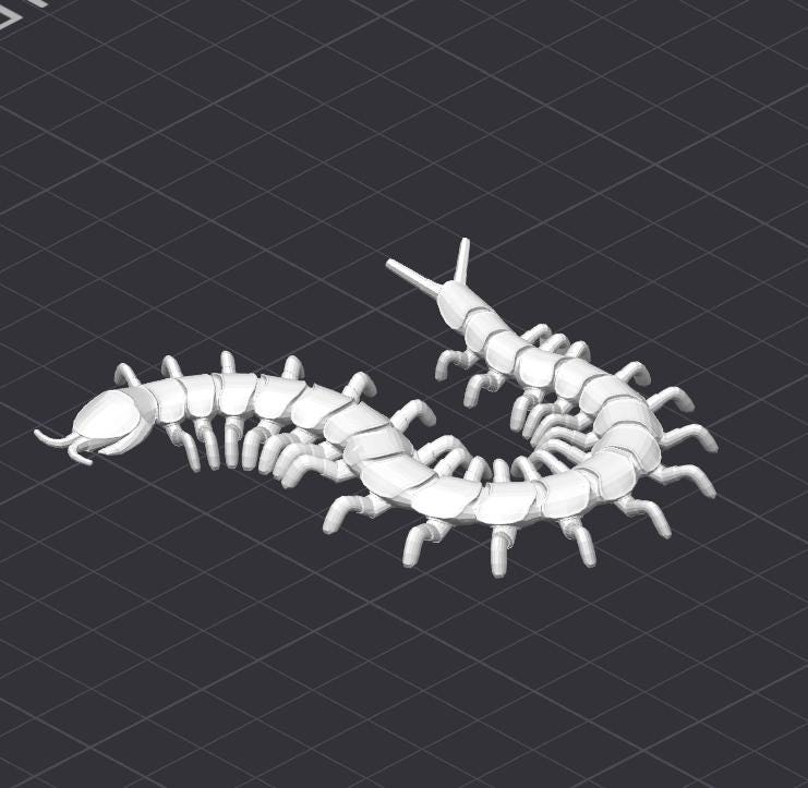 Centipede Insect STL 3D Printer File - Etsy