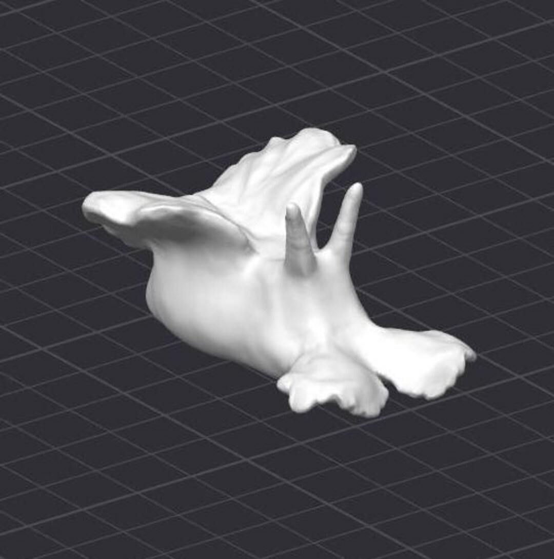 Sea Slug Anapsidea Ocean Reef STL 3D Printer File - Etsy