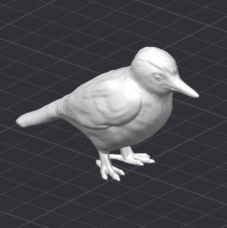 Woodpecker Bird STL 3D Printer File Wood Pecker Piciformes Animal - Etsy