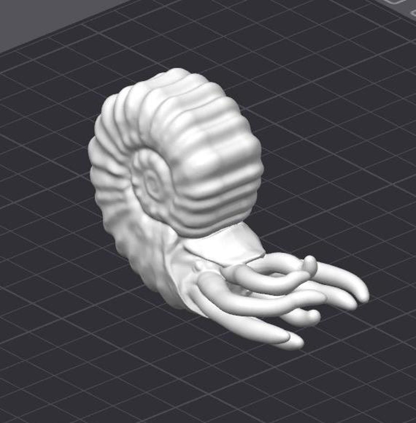 Ammonite Shell Fossil STL 3D Printer File - Etsy