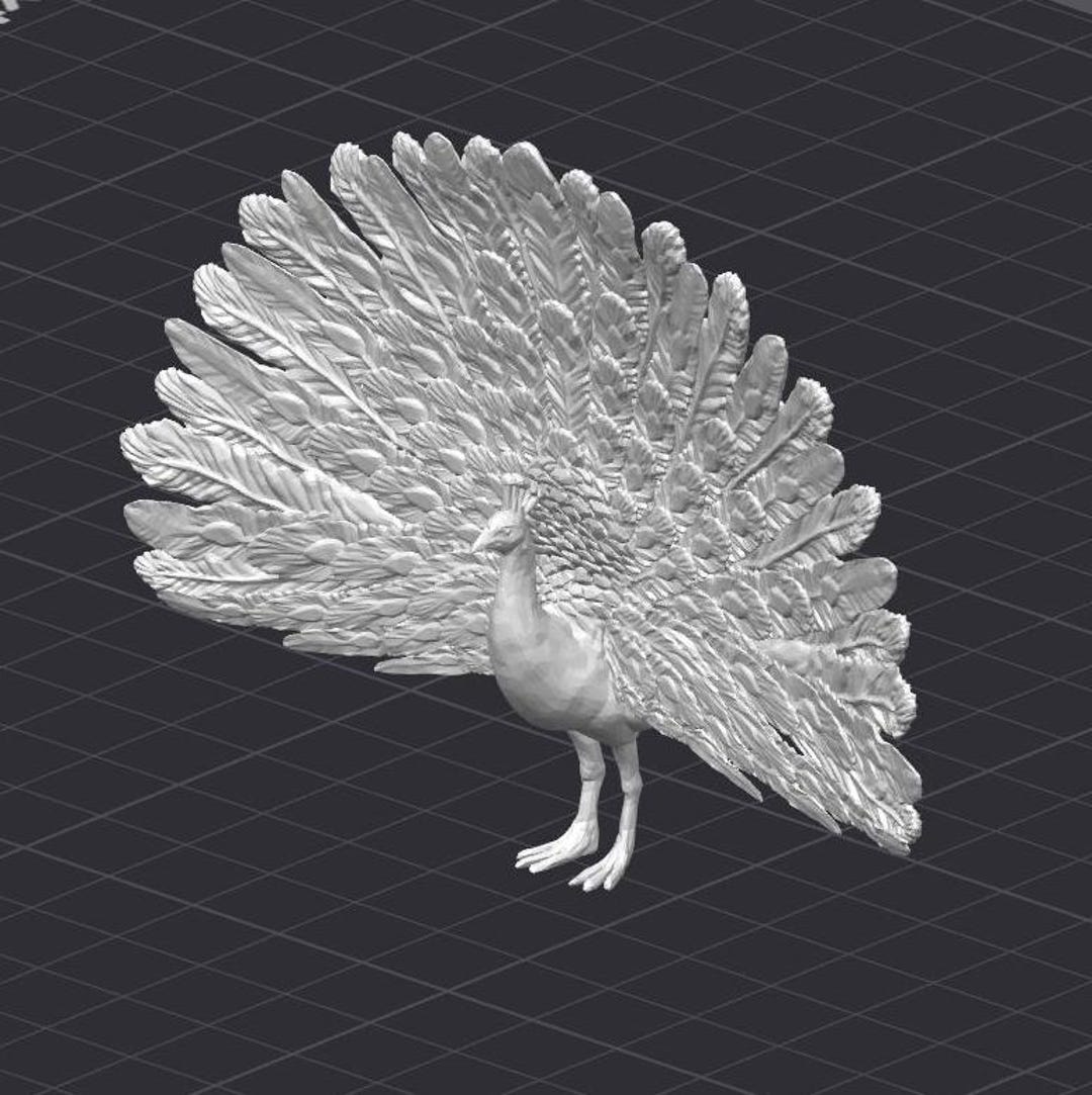 Peacock STL 3D Printer File Pea Fowl Bird Animal - Etsy