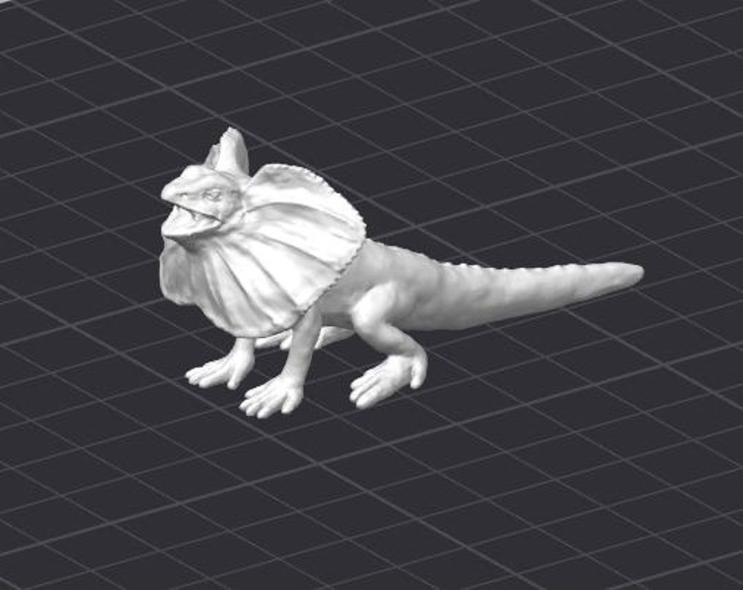 Frilled Lizard STL 3D Printer File Reptile - Etsy