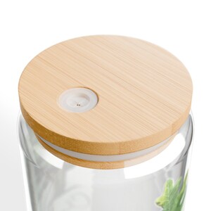 Custom Oak Tree Glass, Birth Tree Libbey Glass, Nature Lover Gift ...