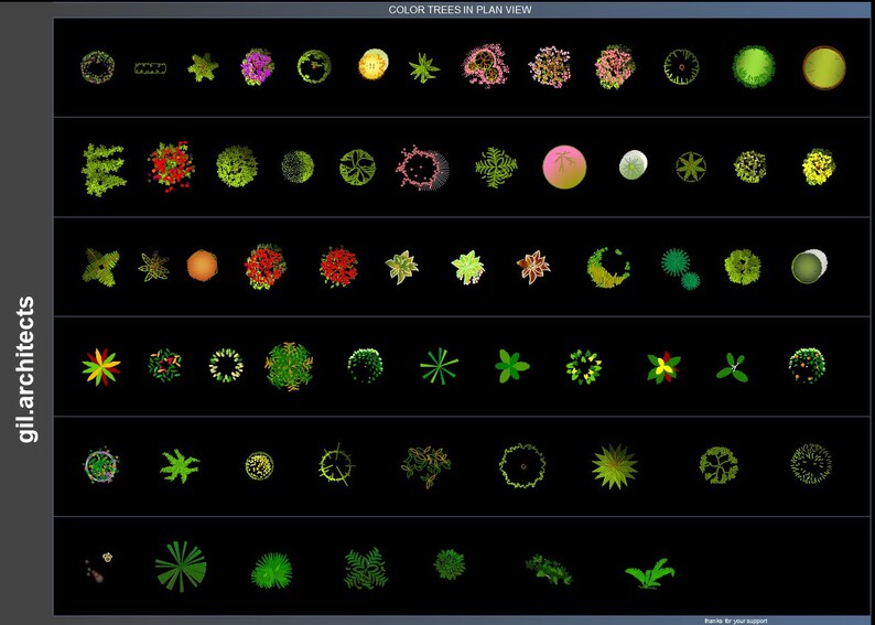 AUTOCAD DWG 2D Color Trees in Plan View Blocks Autocad Sketchup Blocks ...