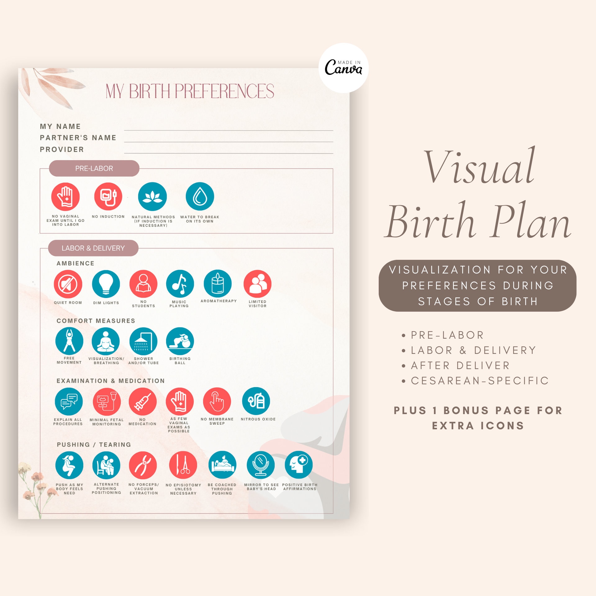 Visual Birth Plan Natural Birth Planner, Editable Birth Preferences ...