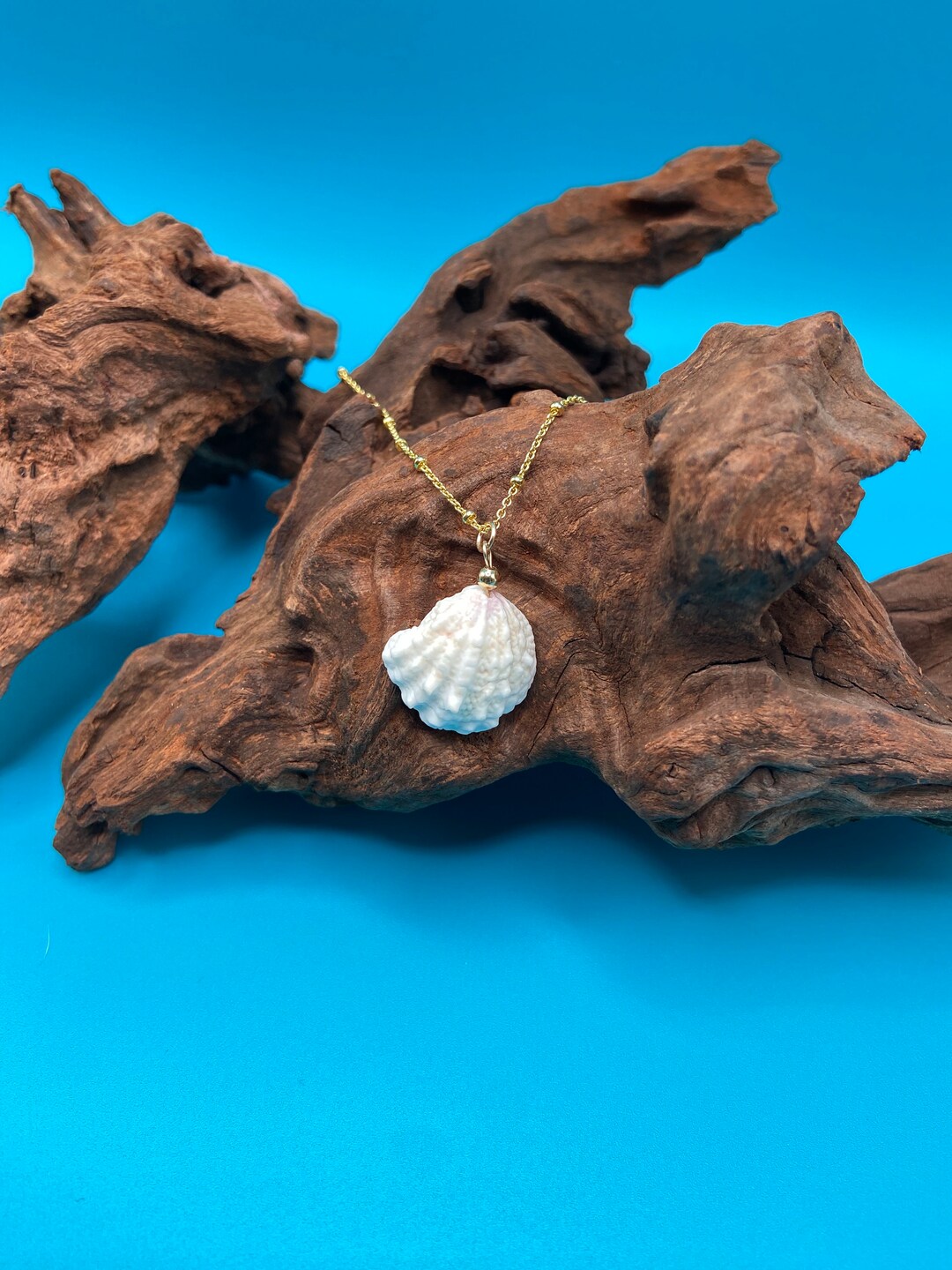 Natural Seashell Pendant Necklace, Gold Filled 16inch Satellite Chain ...