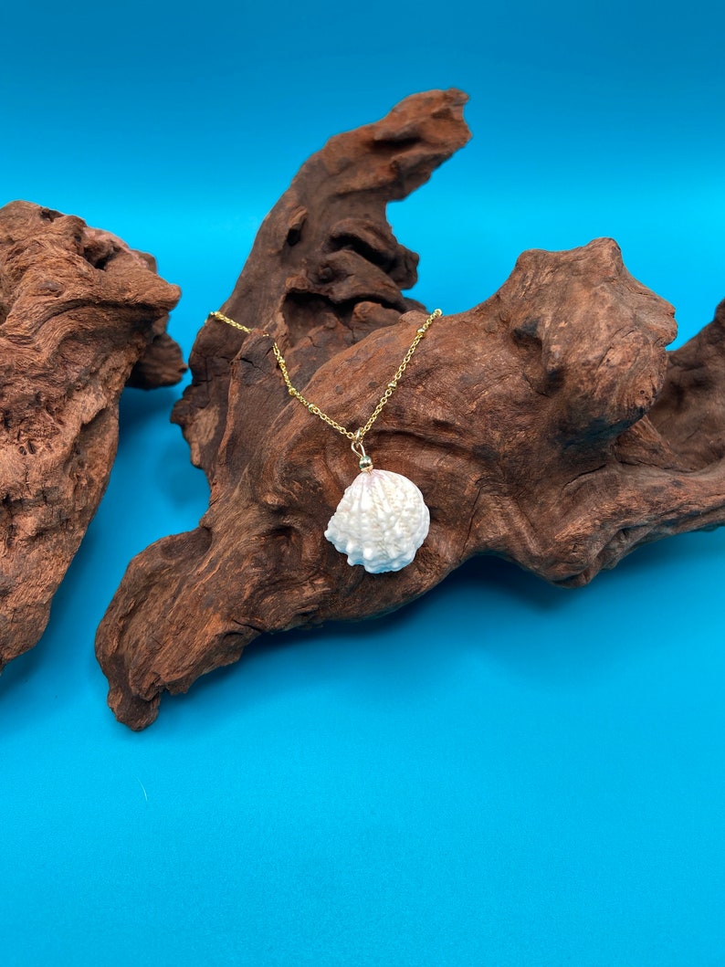 Natural Seashell Pendant Necklace, Gold Filled 16inch Satellite Chain ...