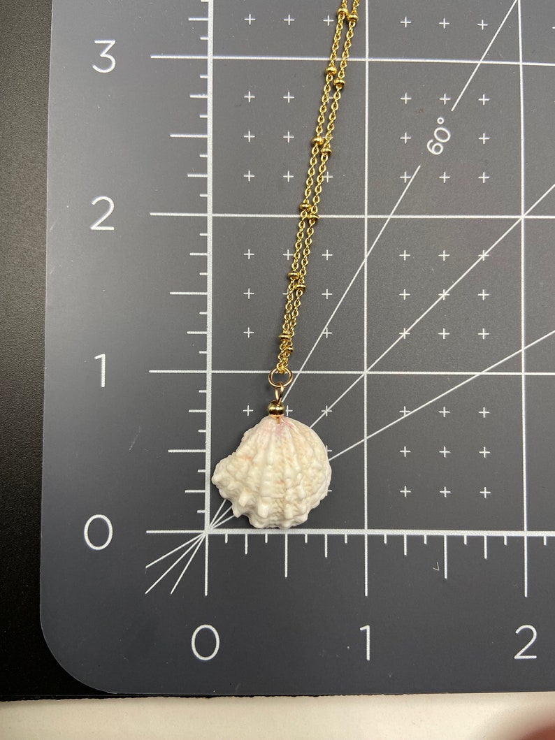Natural Seashell Pendant Necklace, Gold Filled 16inch Satellite Chain ...